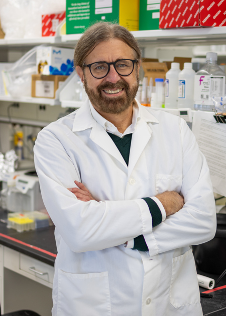 Directory | College of Natural Science | Michigan State University