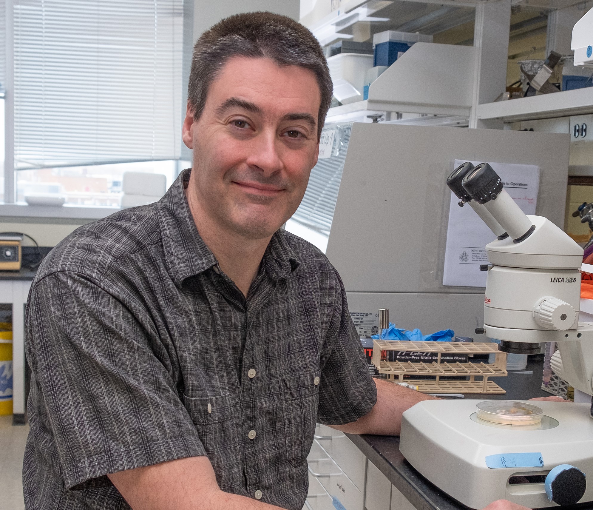 Directory | College of Natural Science | Michigan State University